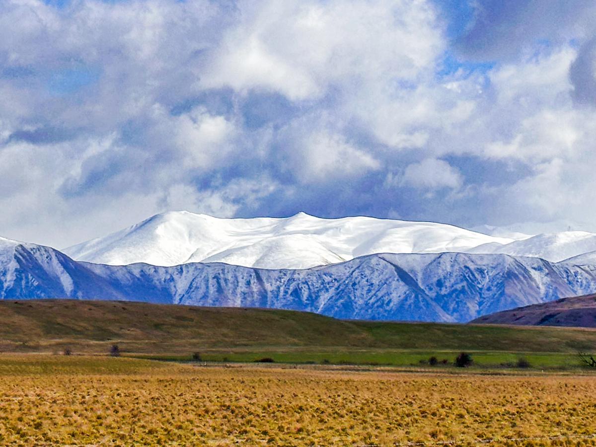 Mackenzie Basin | Mackenzie Country - New Zealand Trip Ideas