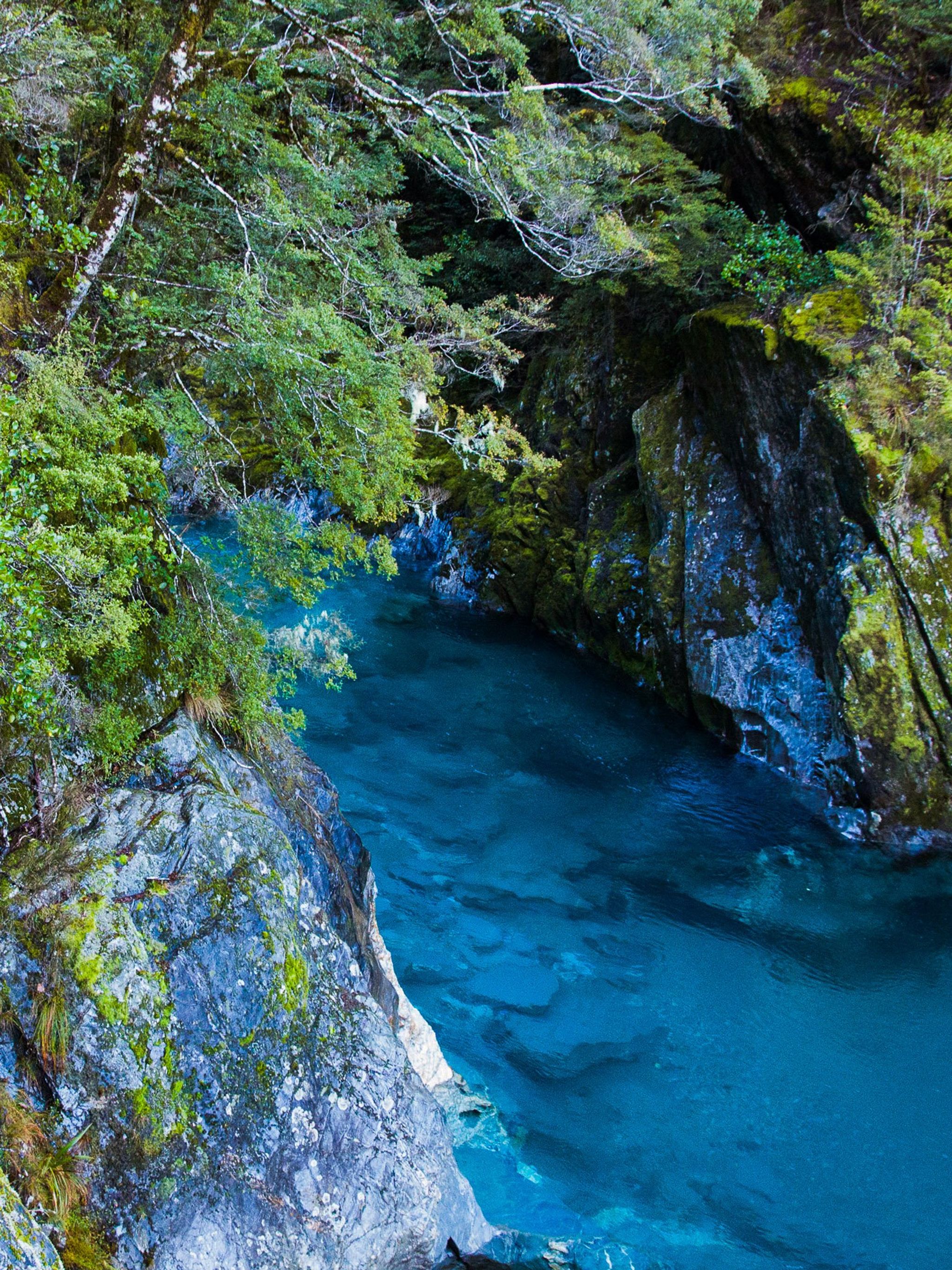 The Best of Beautiful Haast Pass - Trip Ideas