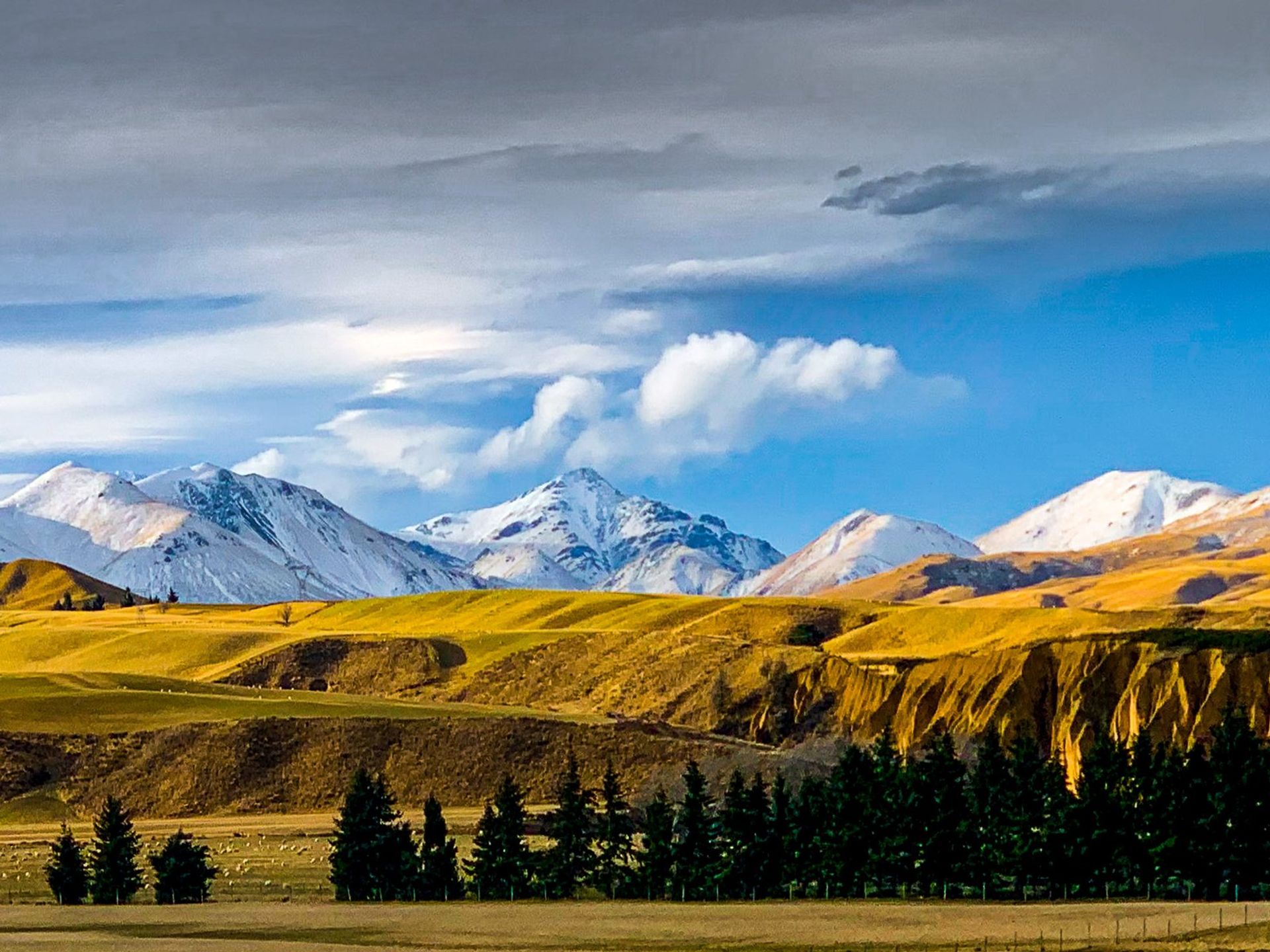 Danseys Pass – Remote and Beautiful Exploration | Blog - New Zealand ...