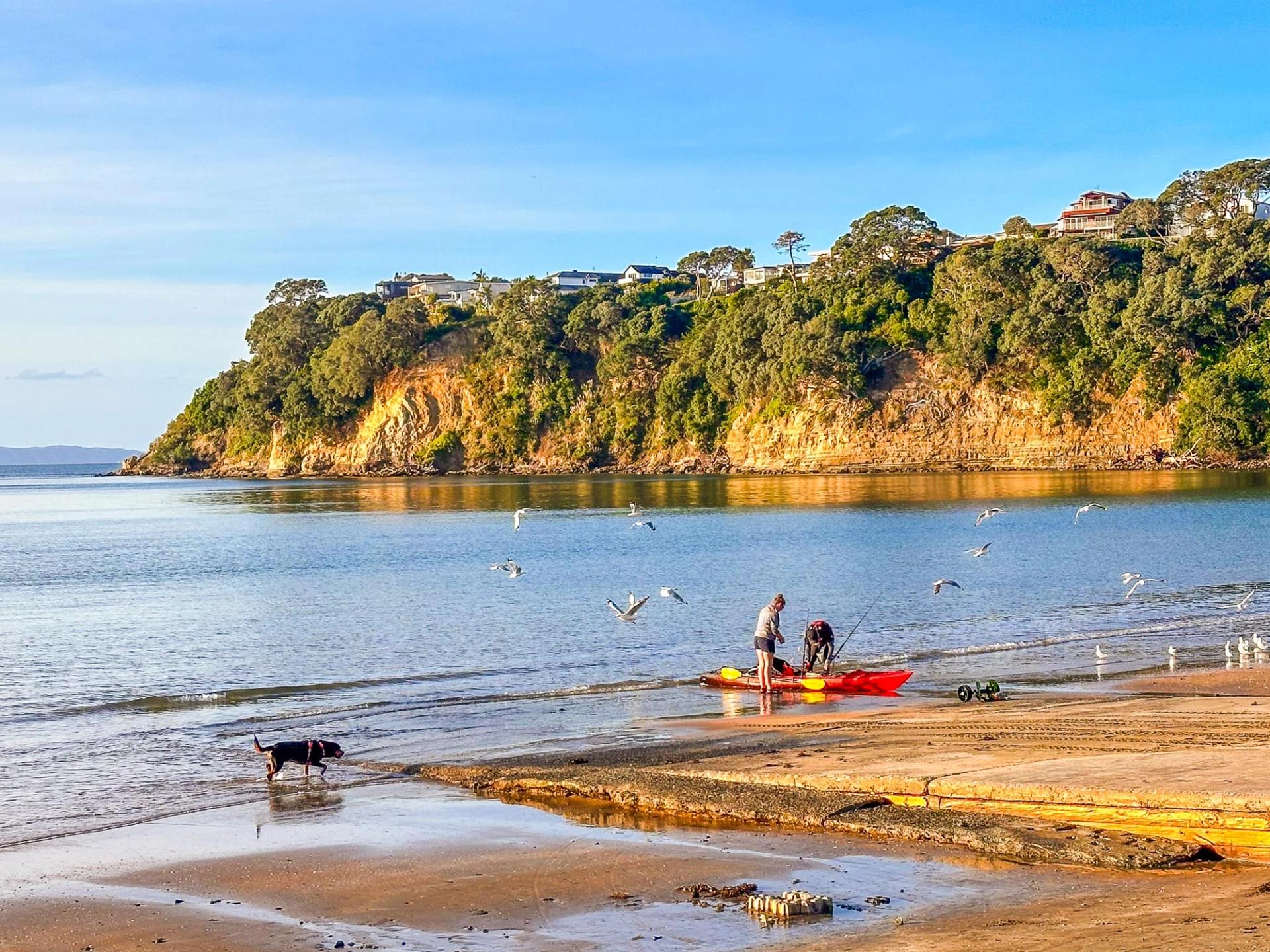 Stanmore Bay | North Auckland - New Zealand Trip Ideas