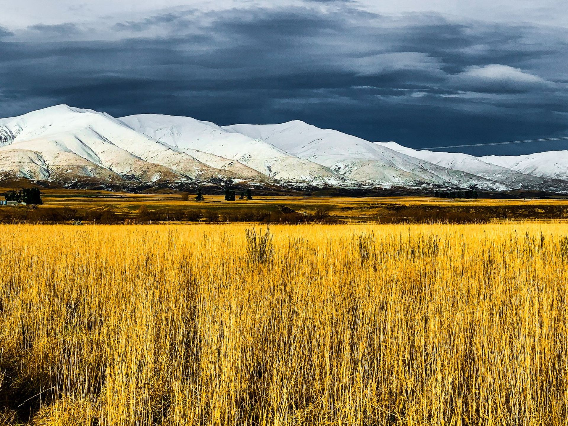 Danseys Pass – Remote and Beautiful Exploration | Blog - New Zealand ...