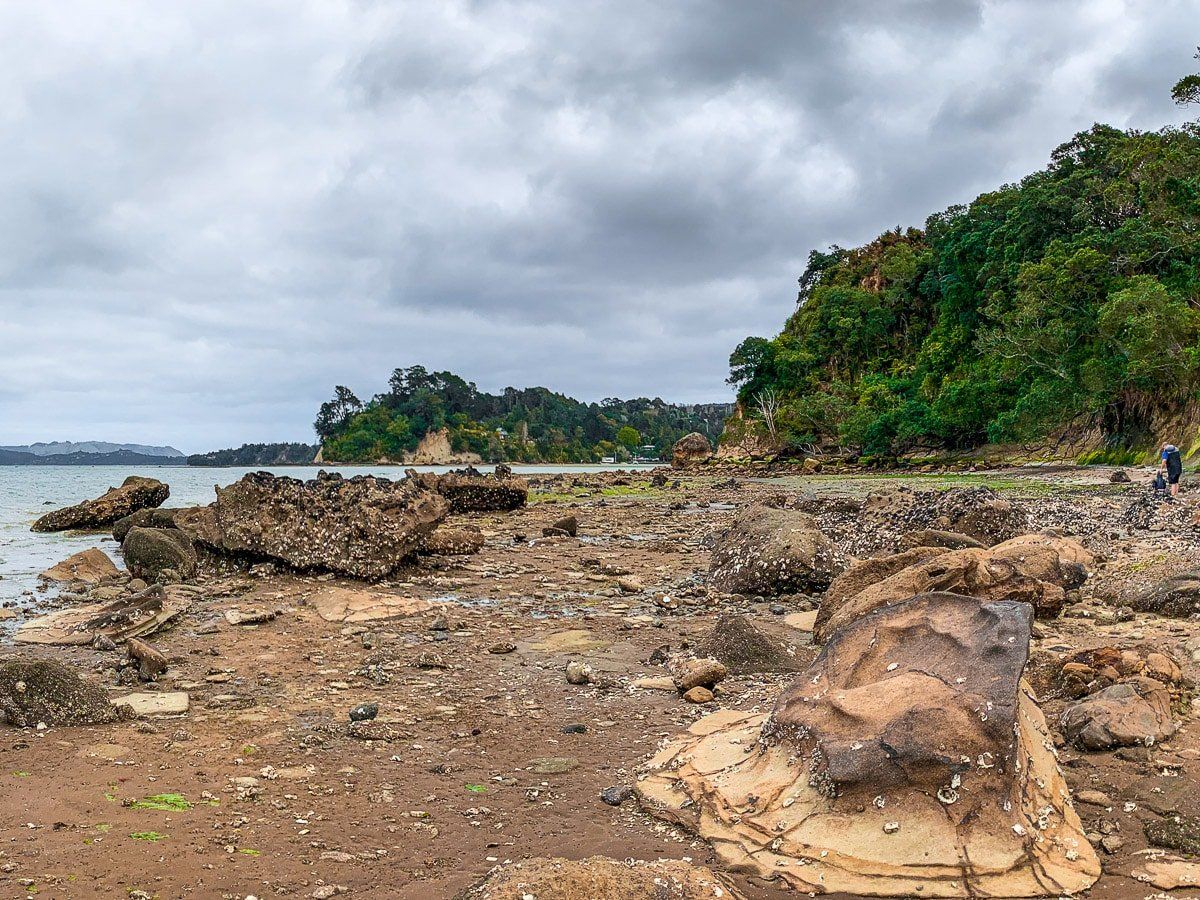 Waitakere Walking Tracks, part 1 | Blog - New Zealand Trip Ideas