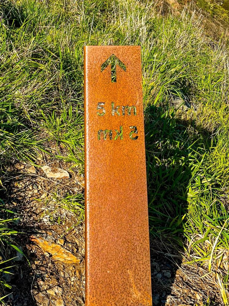Paekākāriki Escarpment Track | Kāpiti Coast - New Zealand Trip Ideas