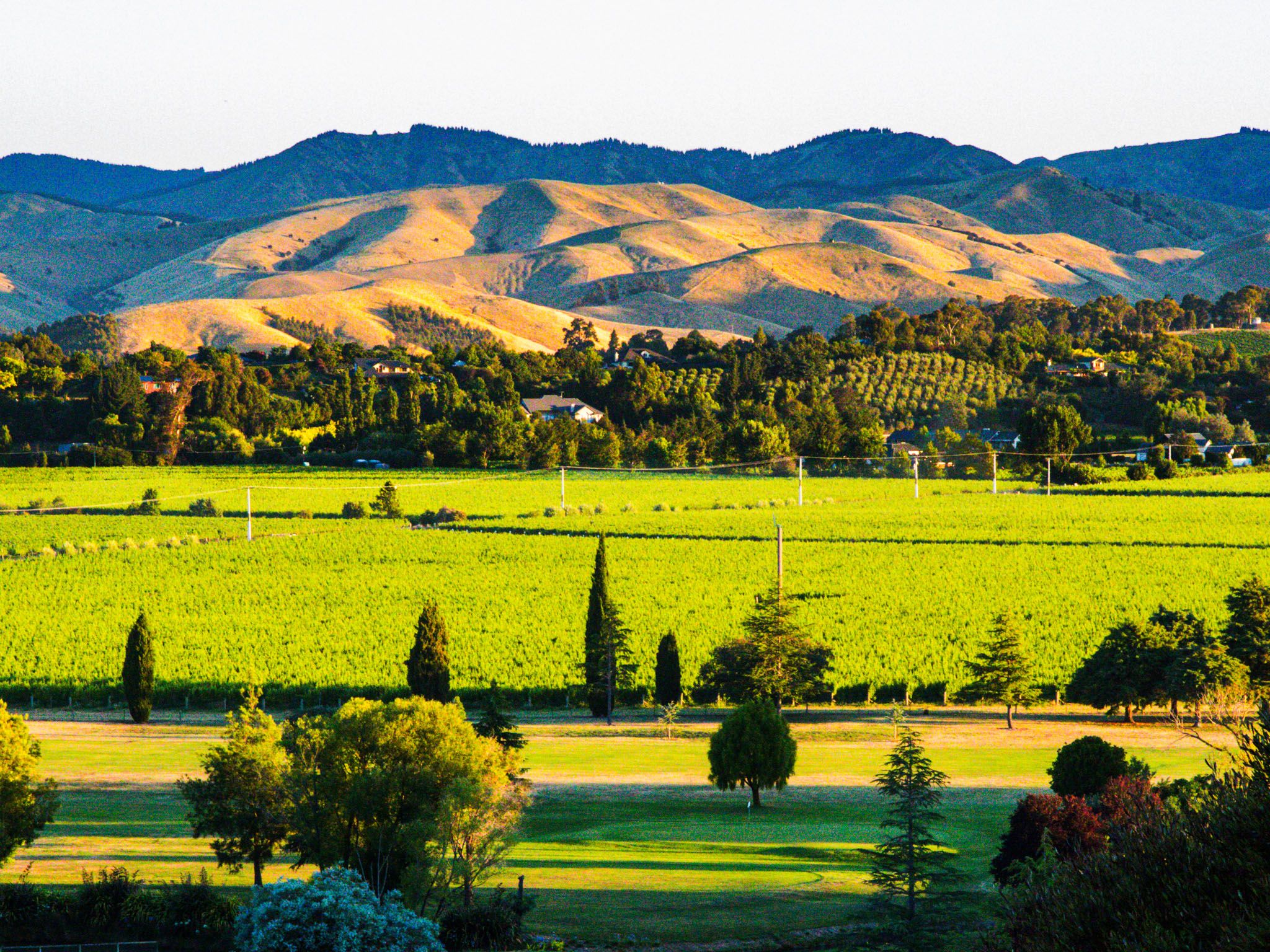 Blenheim | Marlborough - New Zealand Trip Ideas