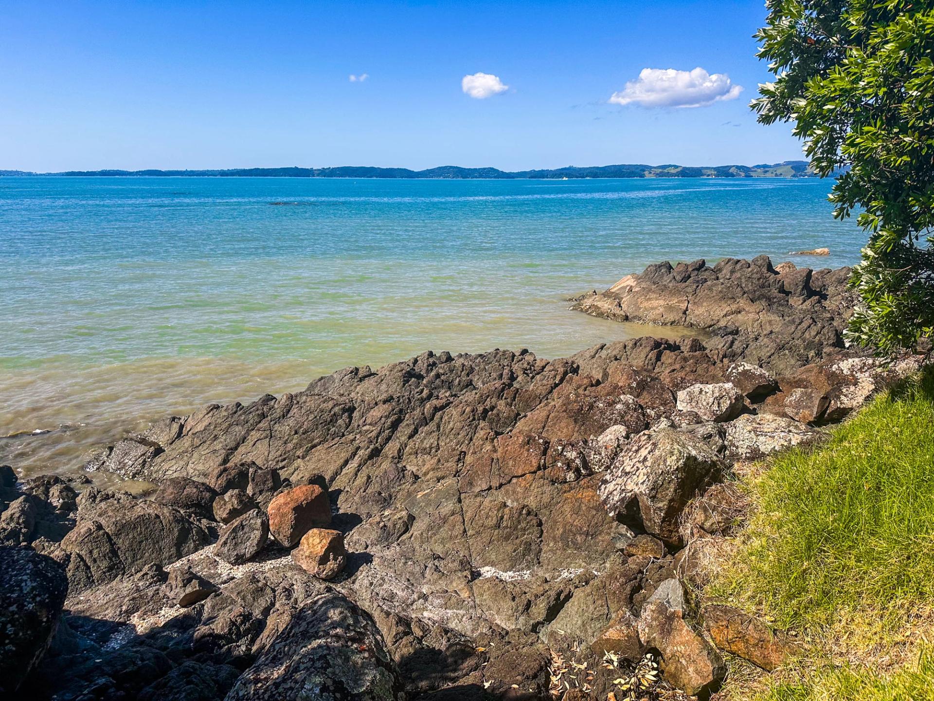 Ōmana Beach | East Auckland - New Zealand Trip Ideas