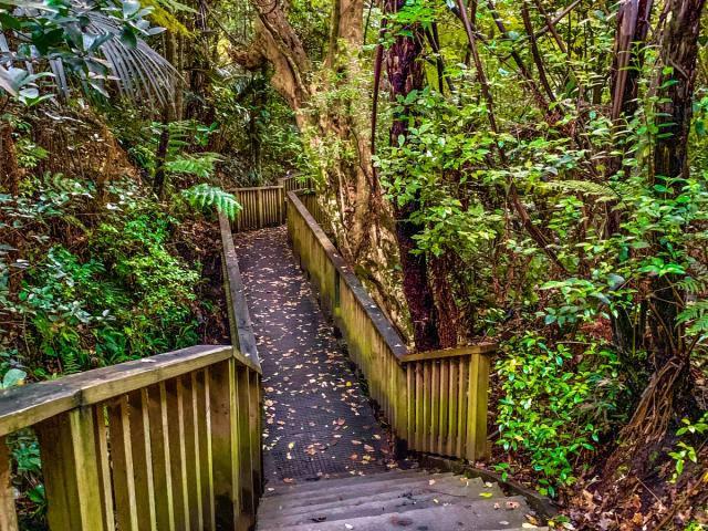 Auckland Domain Pukekawa | Central Auckland - New Zealand Trip Ideas