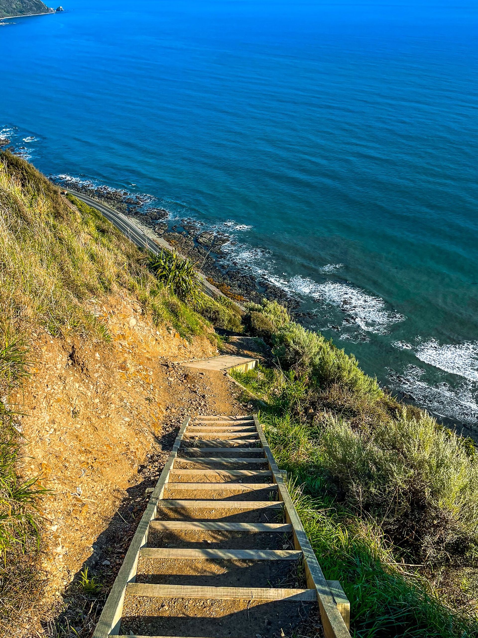 Paekākāriki Escarpment Track | Kāpiti Coast - New Zealand Trip Ideas