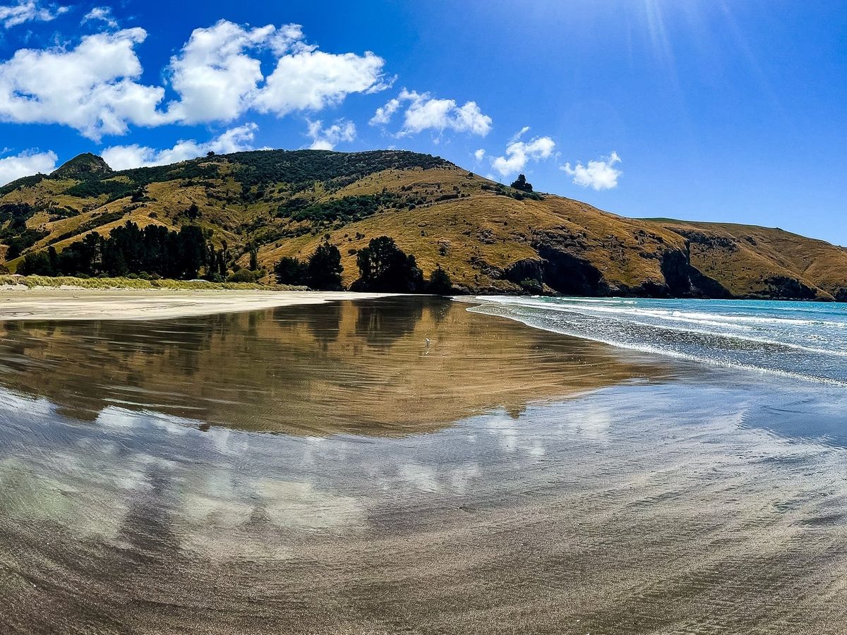 Le Bons Bay | Banks Peninsula - New Zealand Trip Ideas