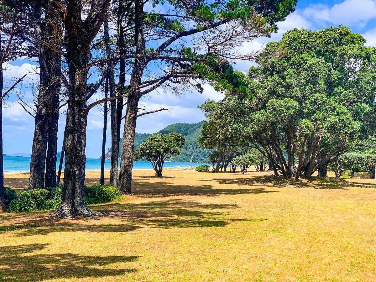 The Coromandel: Pauanui and Tairua - Trip Ideas