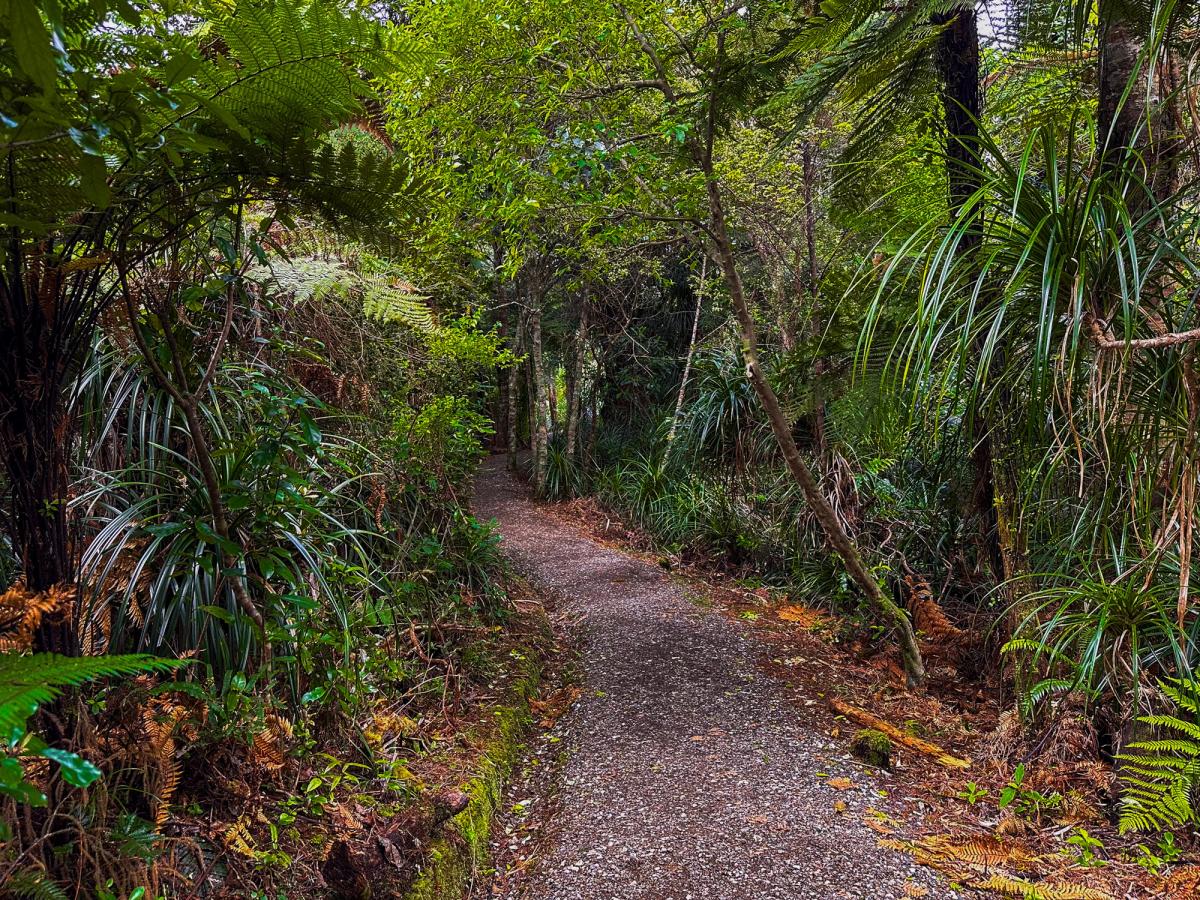 Fairy Falls | West Auckland - New Zealand Trip Ideas