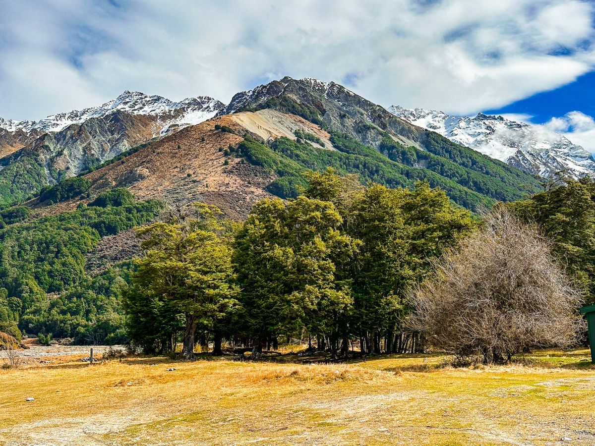 Temple Campsite and Tracks | Mackenzie Country - New Zealand Trip Ideas