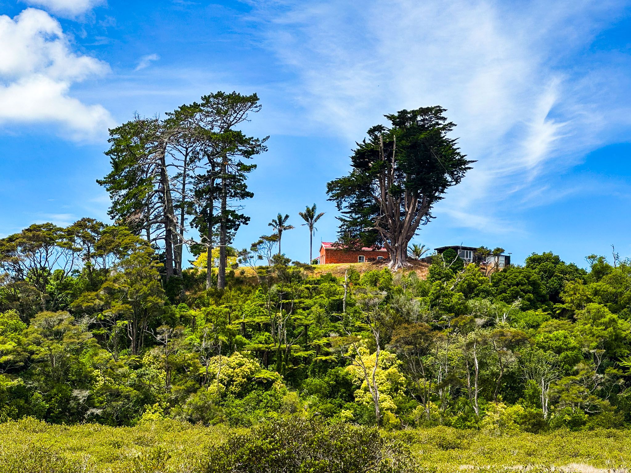 Whitford | East Auckland - New Zealand Trip Ideas