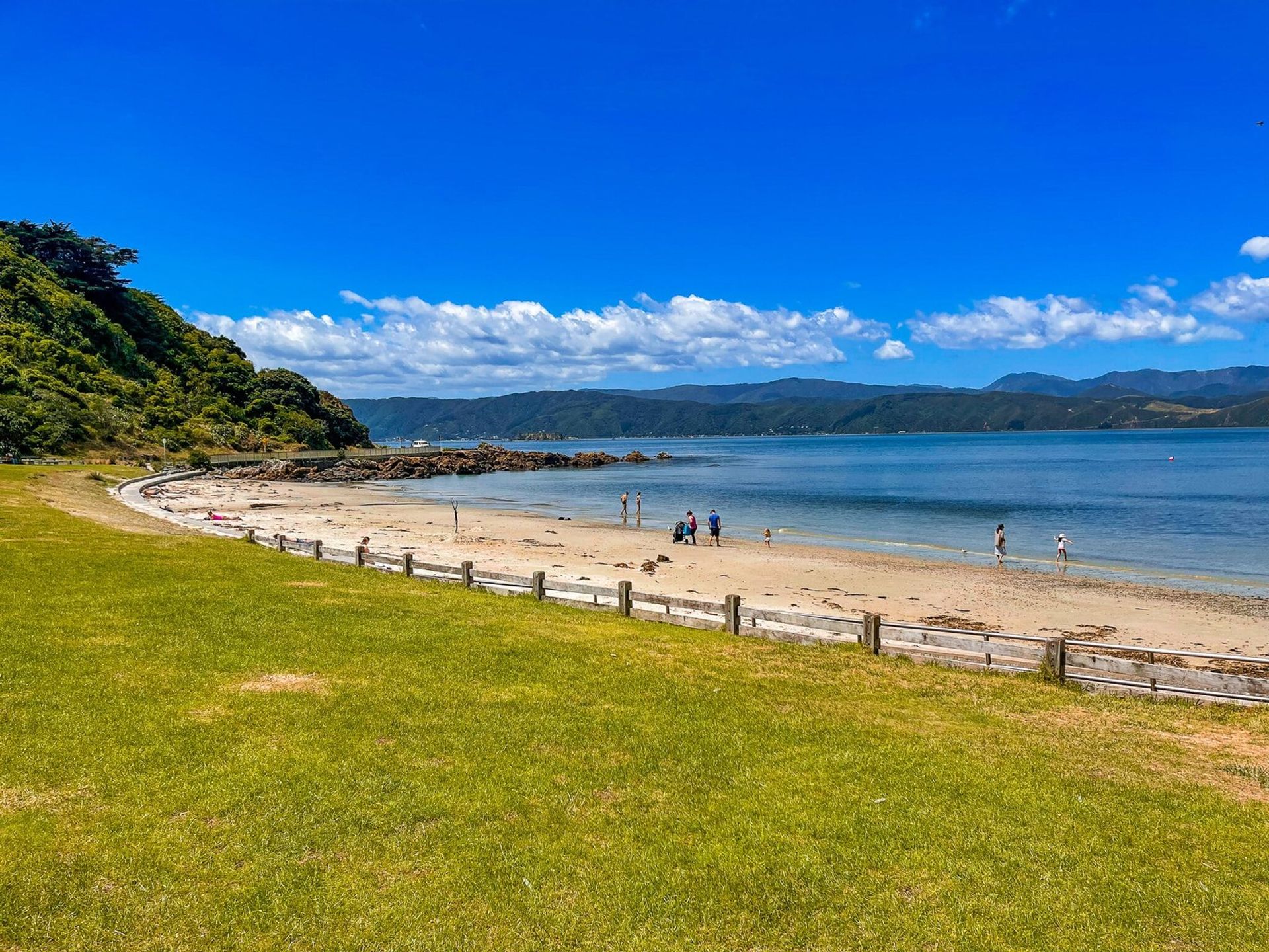Scorching Bay | Wellington City - New Zealand Trip Ideas