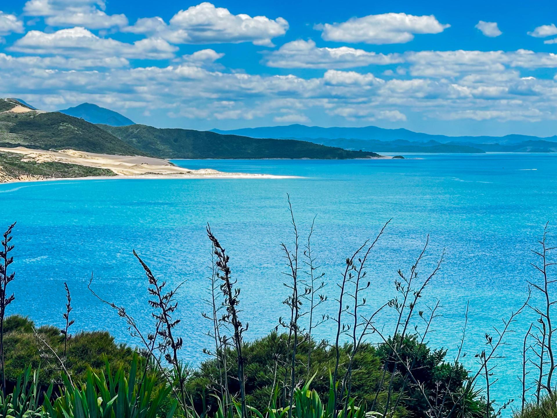 Hokianga Harbour | Hokianga - New Zealand Trip Ideas