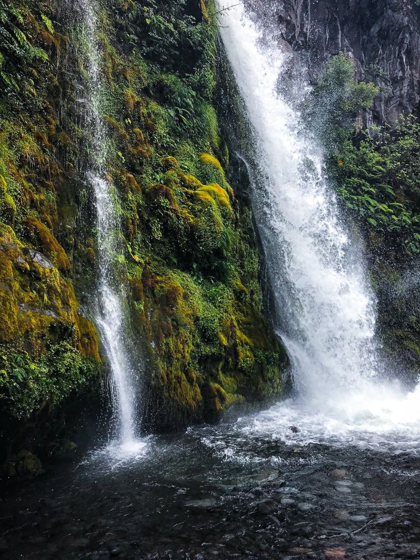 Dawson Falls Track | Te Papakura O Taranaki - New Zealand Trip Ideas