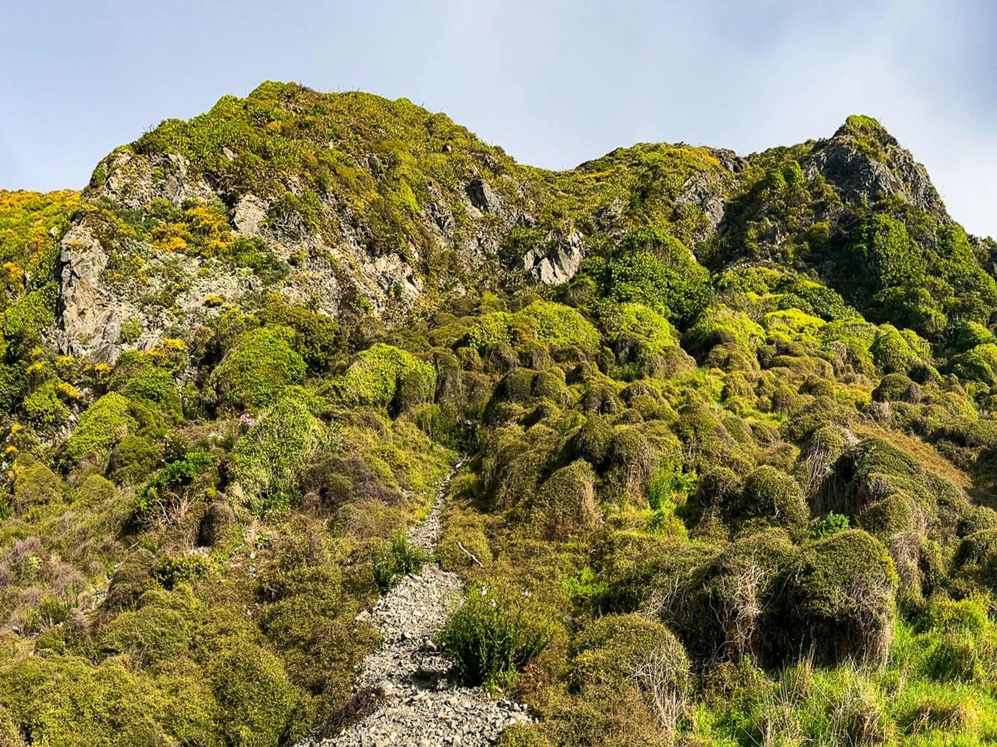 Pukerua Bay | Kāpiti Coast - New Zealand Trip Ideas