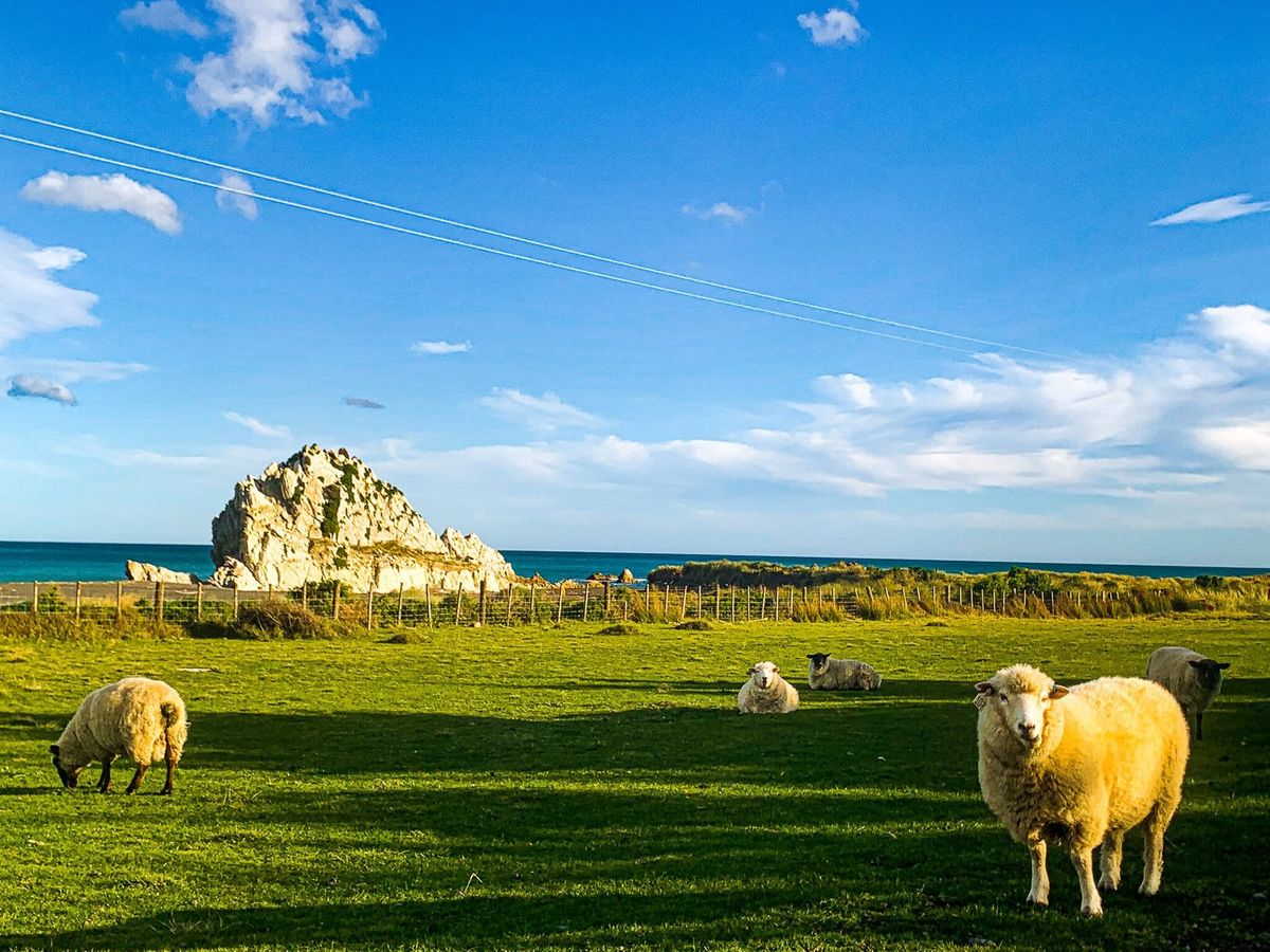 White Rock Beach | Wairarapa - New Zealand Trip Ideas