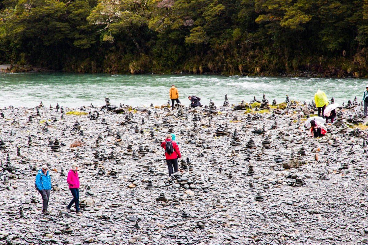 Exploring the Haast Highway – Makarora to Haast - Trip Ideas