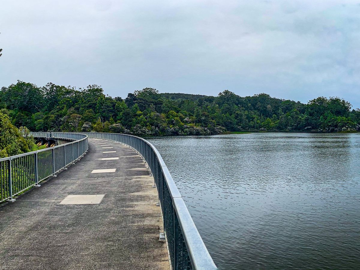 Waitākere Reservoir and Dam | West Auckland - New Zealand Trip Ideas