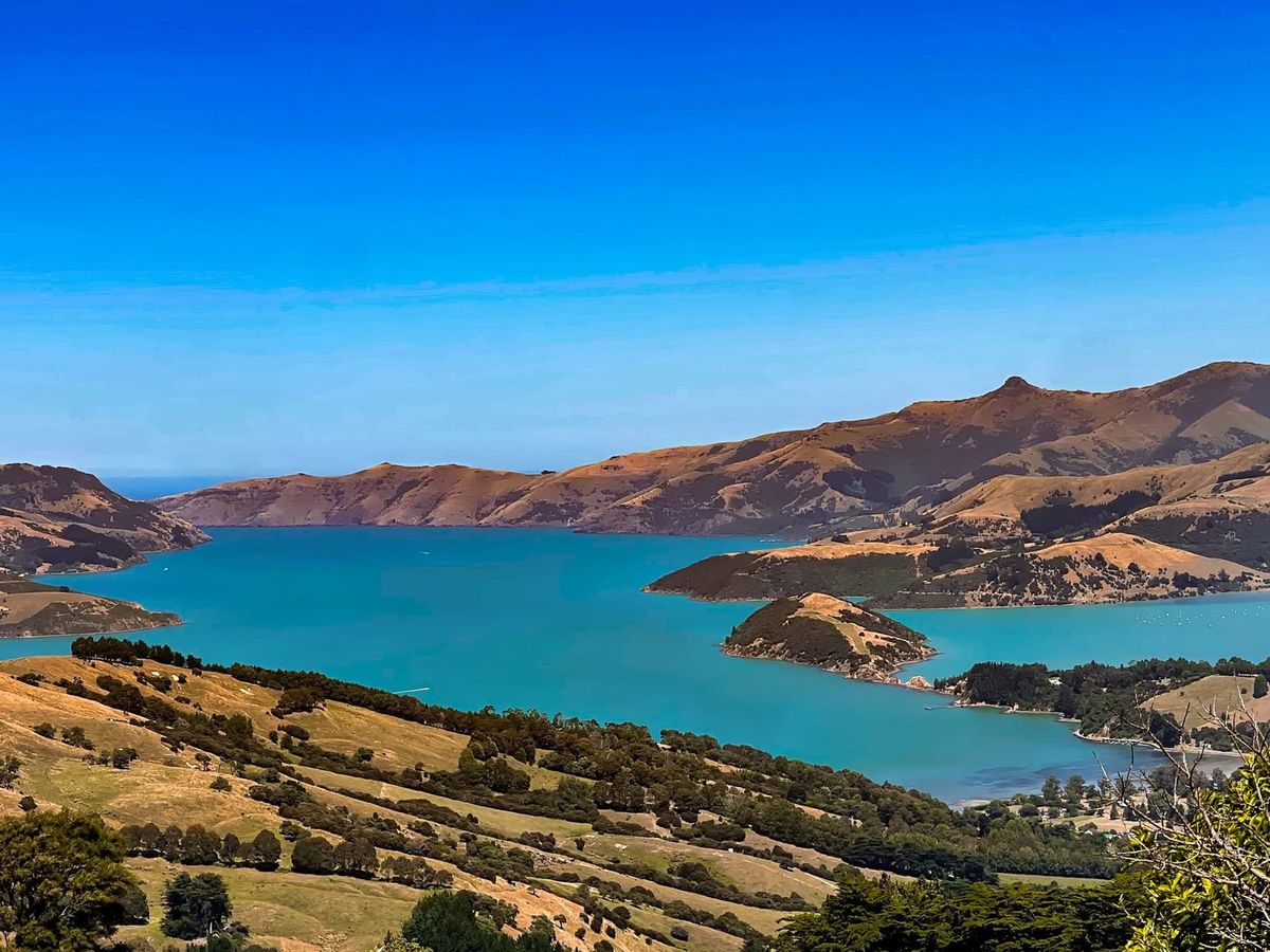 Banks Peninsula: Exploring Awesome Volcanoes and Forests in Akaroa ...