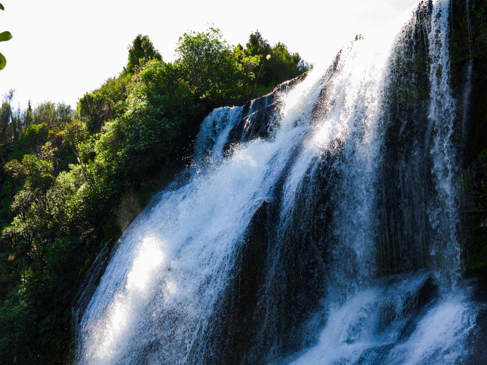 Te Urewera | Te Urawera - New Zealand Trip Ideas