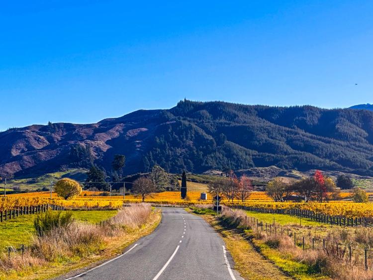 Wairau Valley | Marlborough - New Zealand Trip Ideas