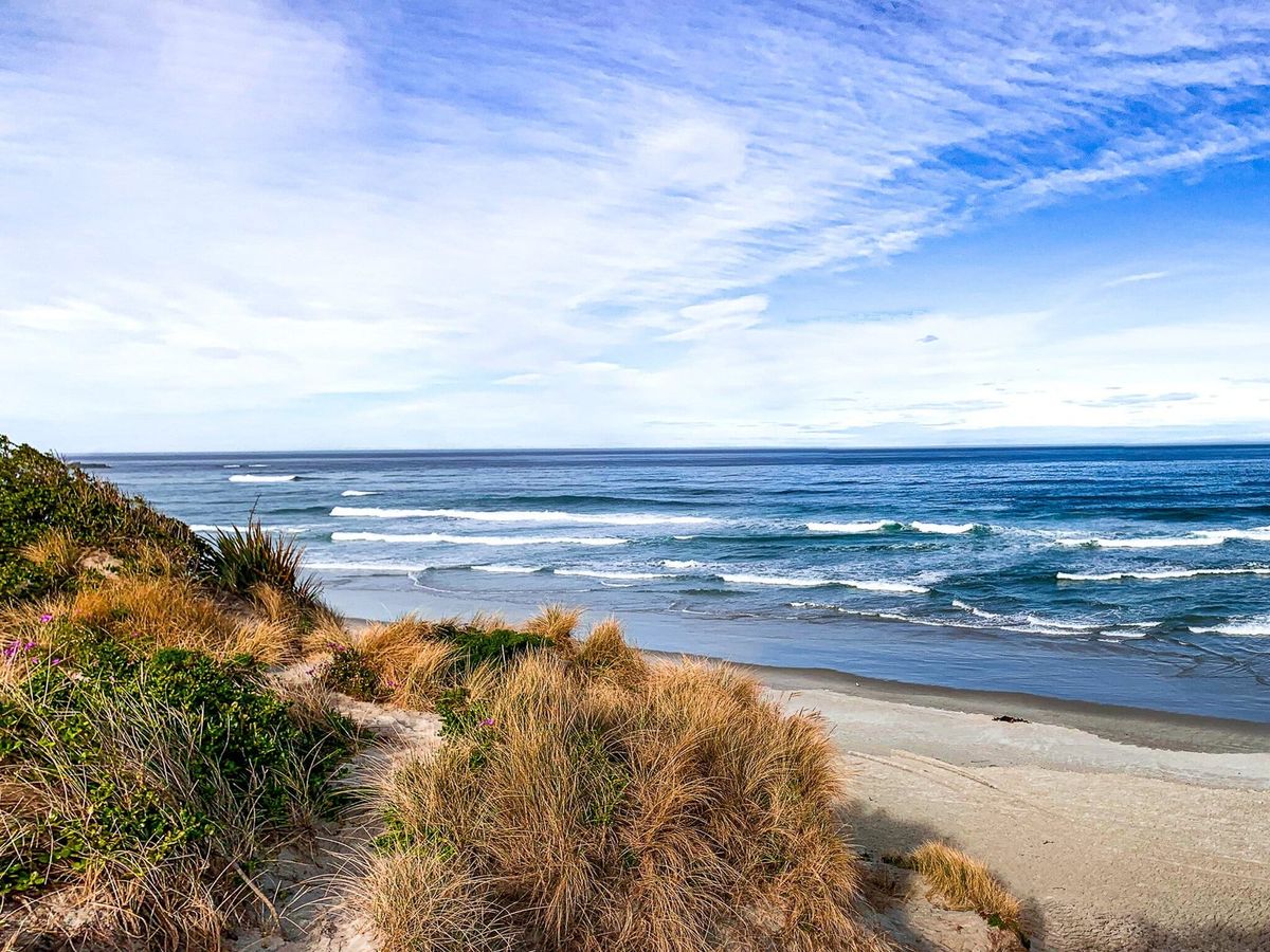Tomahawk Beach | Dunedin - New Zealand Trip Ideas