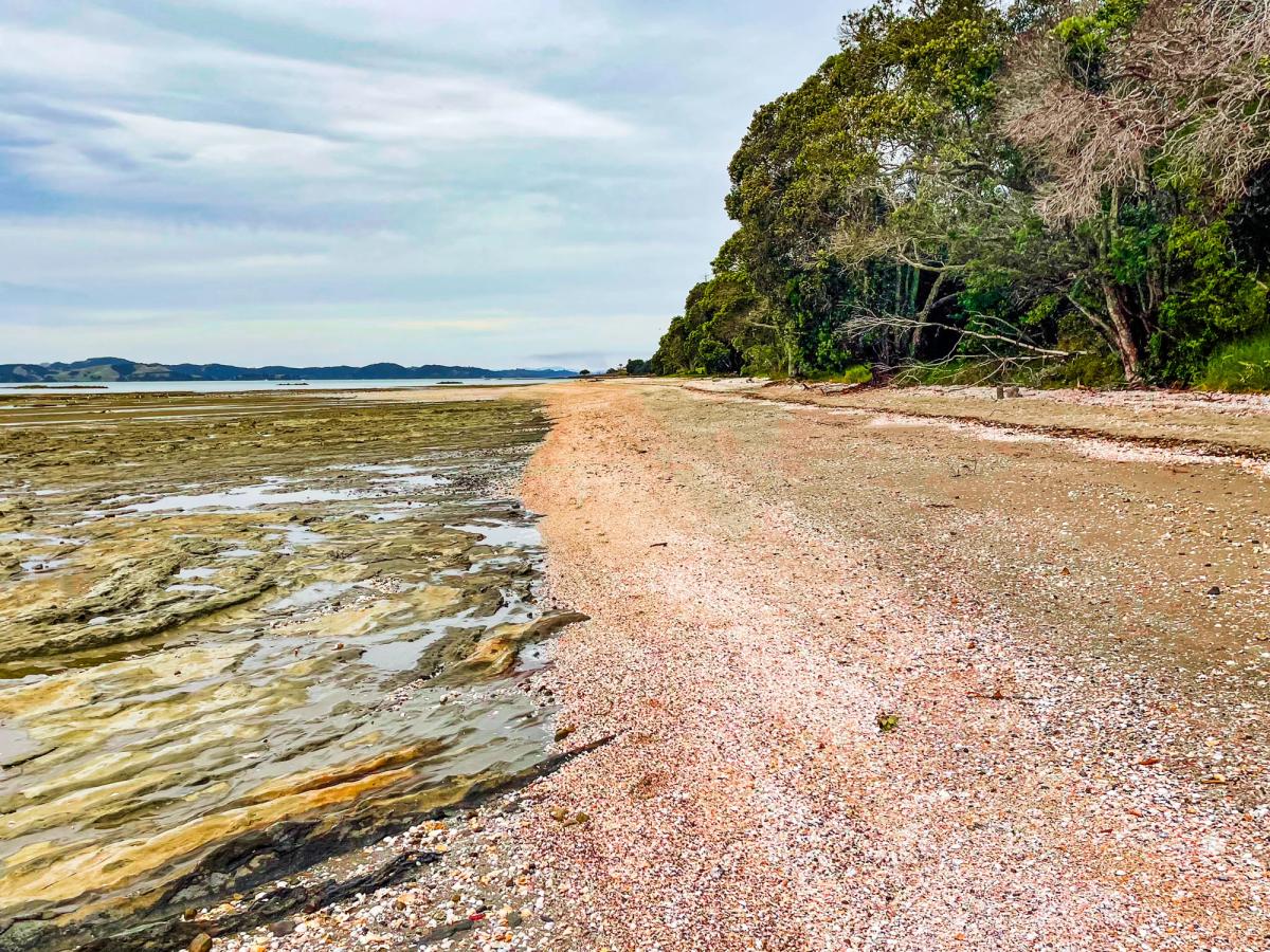 Ōmana Beach | East Auckland - New Zealand Trip Ideas