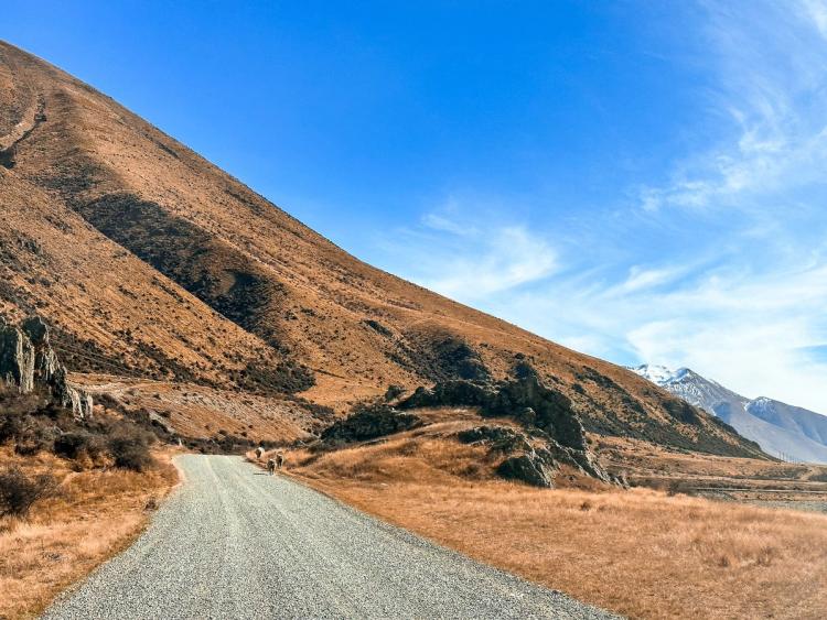 Ahuriri Valley: Remote Drives in Beautiful Canterbury - Trip Ideas