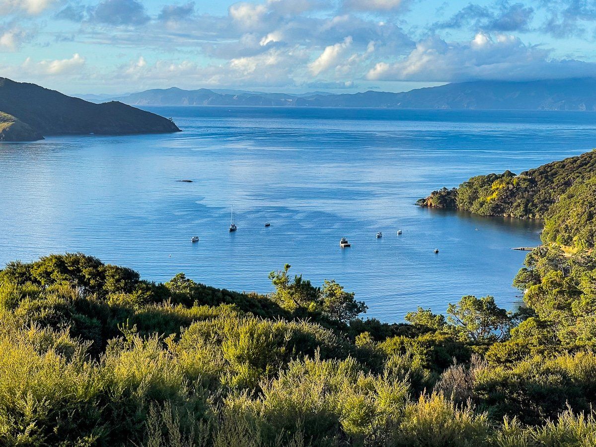 Great Barrier Island Aotea: Harbours and Hikes - Trip Ideas