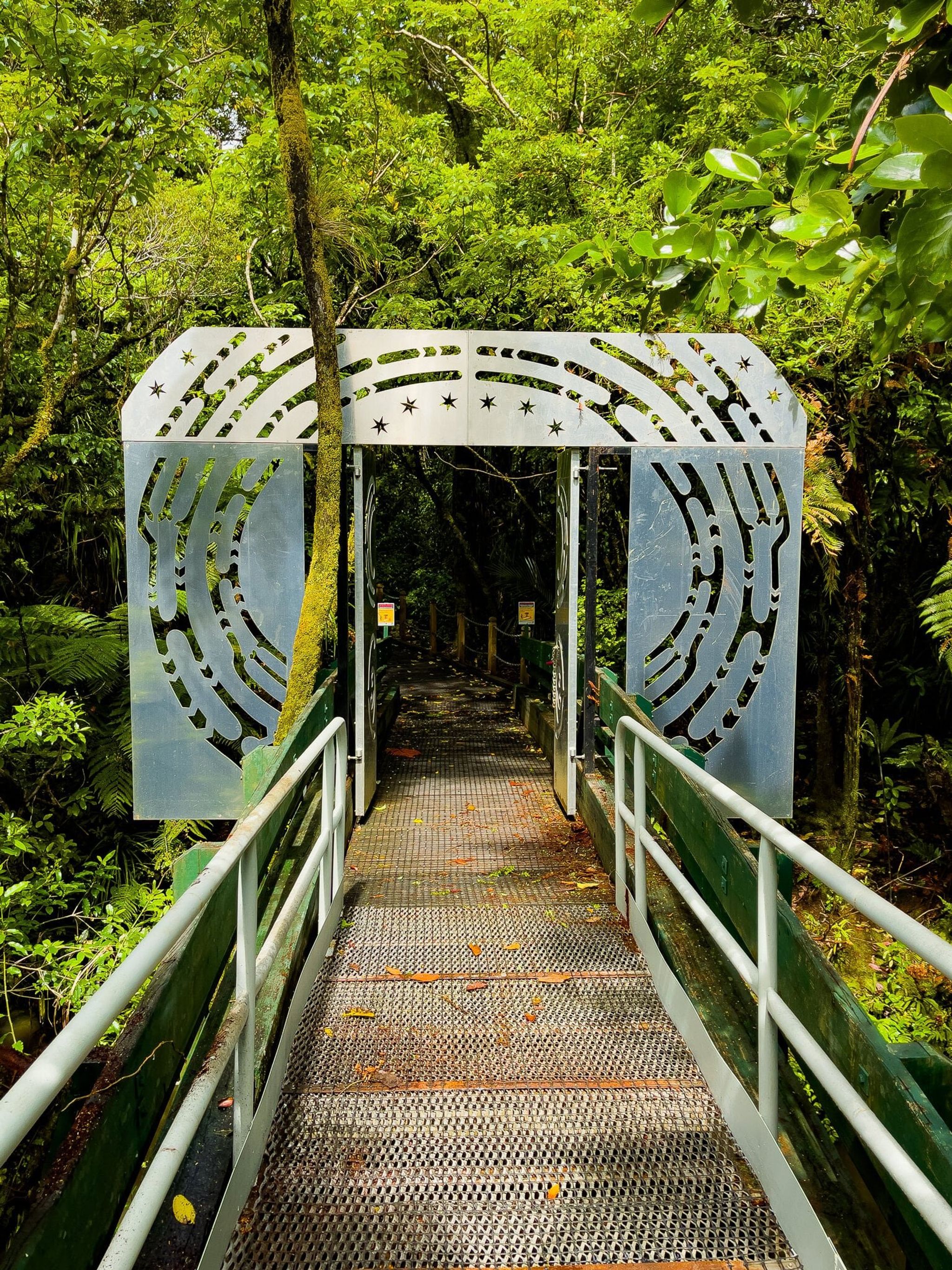 Tāne Mahuta | Kauri Coast - New Zealand Trip Ideas