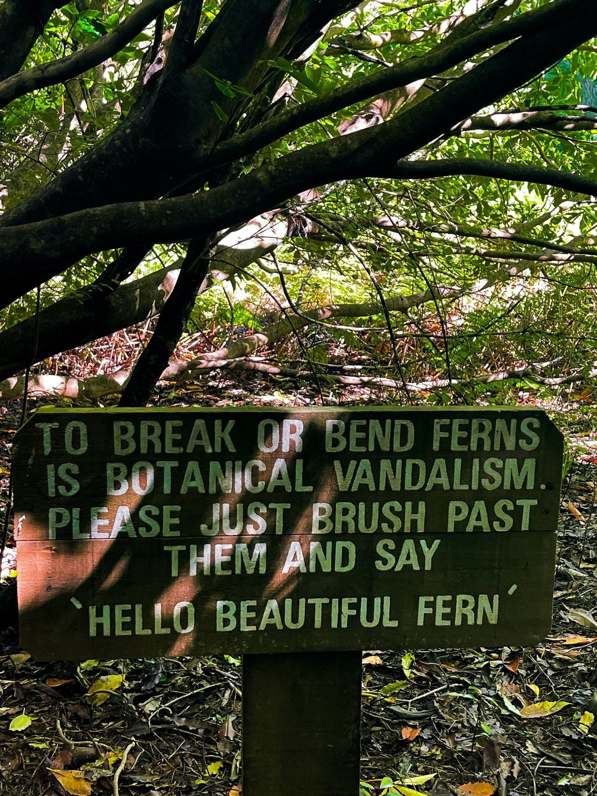 Hinewai Reserve Walks | Banks Peninsula - New Zealand Trip Ideas