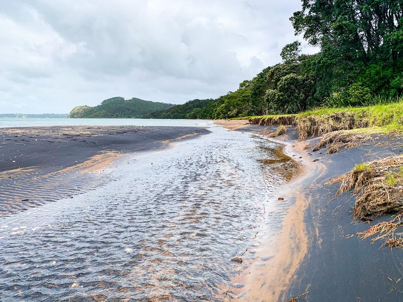 Cornwallis Beach | West Auckland - New Zealand Trip Ideas