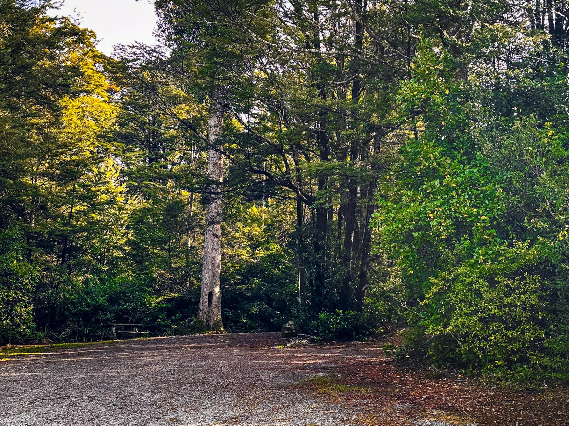 Saint Arnaud | Nelson Lakes - New Zealand Trip Ideas