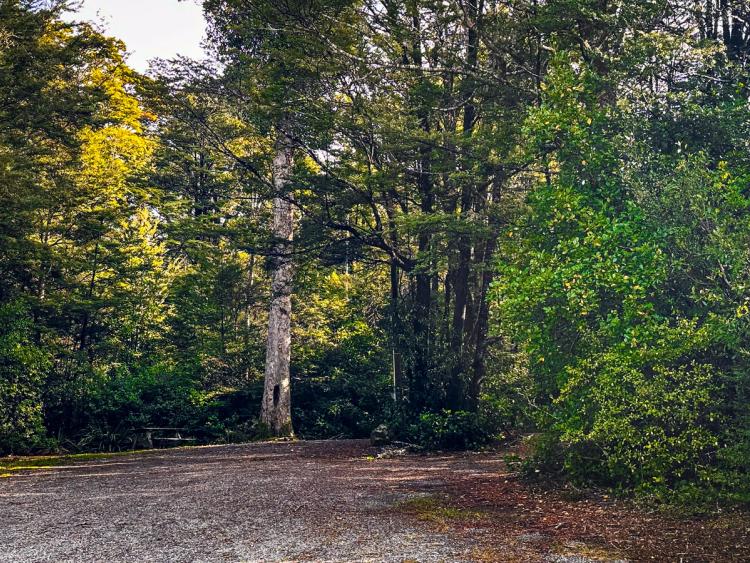 Saint Arnaud | Nelson Lakes - New Zealand Trip Ideas