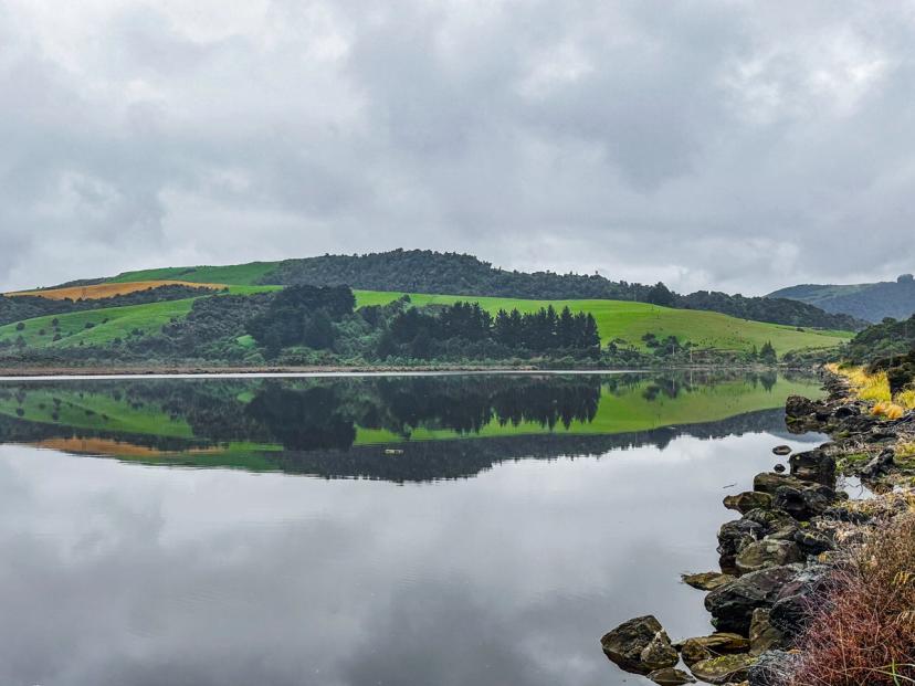 Papatowai | Catlins - New Zealand Trip Ideas