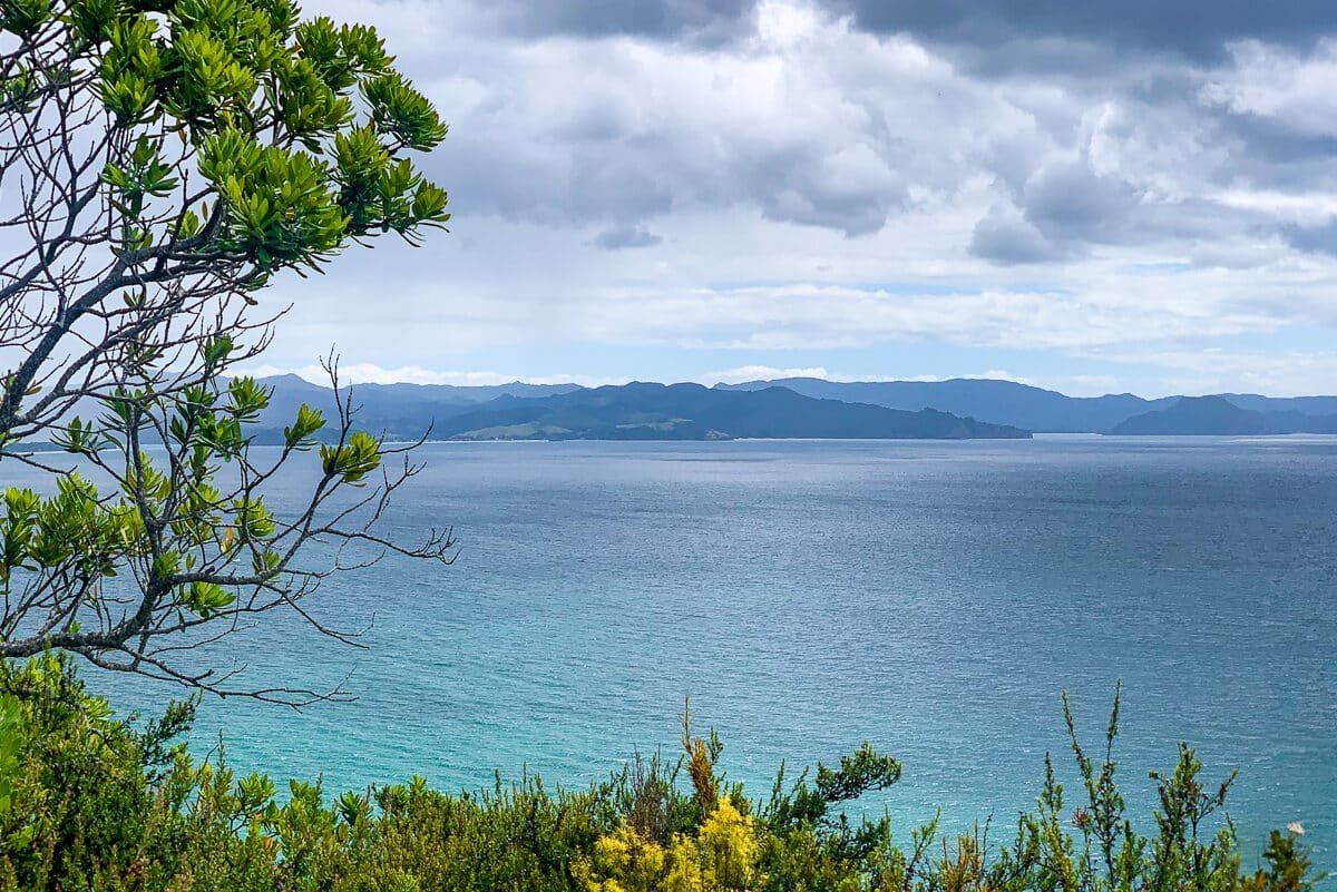 New Chums, Opito Bay, Otama and Whangapoua | Blog - New Zealand Trip Ideas