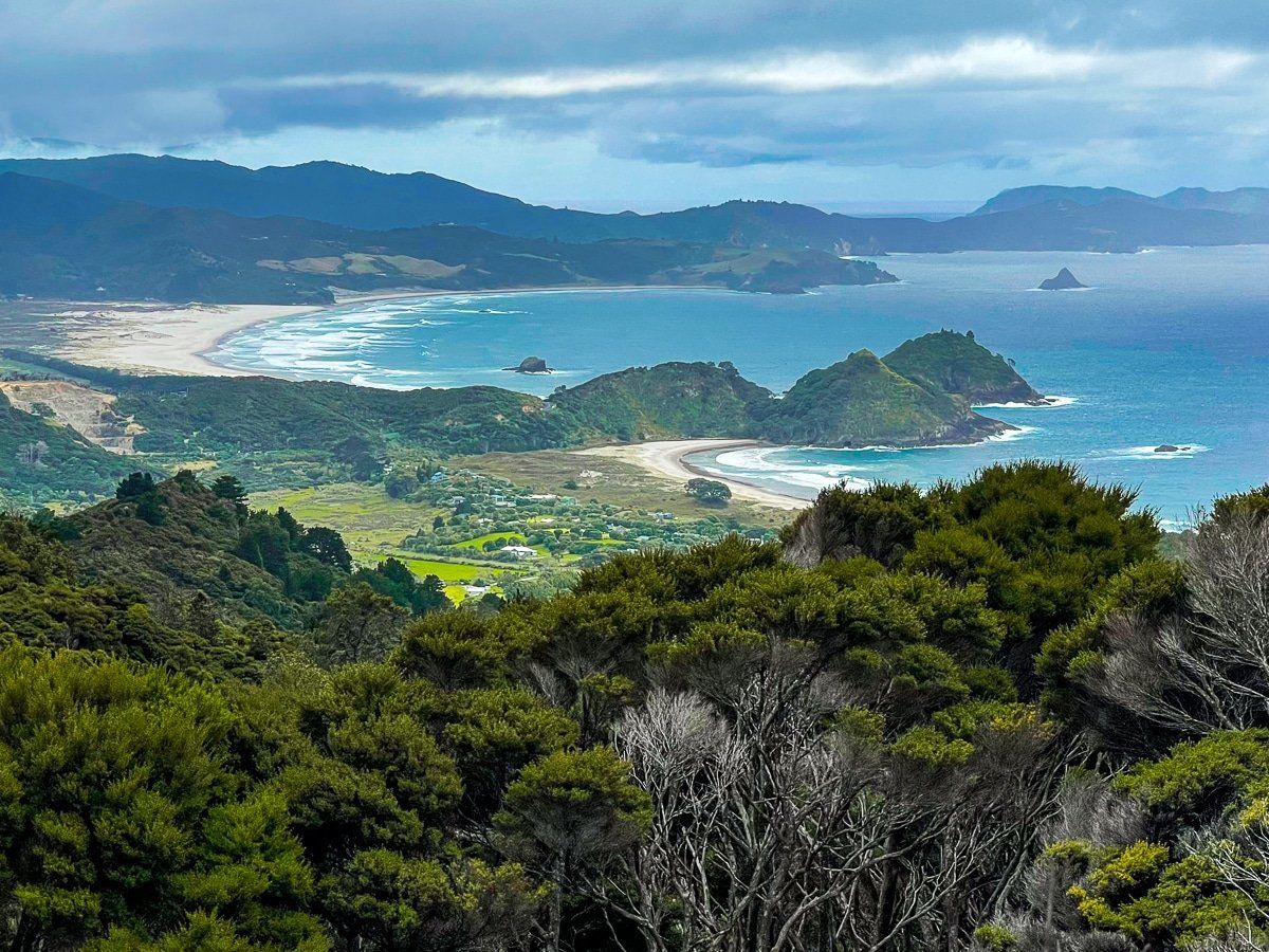 Great Barrier Island Aotea: Harbours and Hikes | Blog - New Zealand ...
