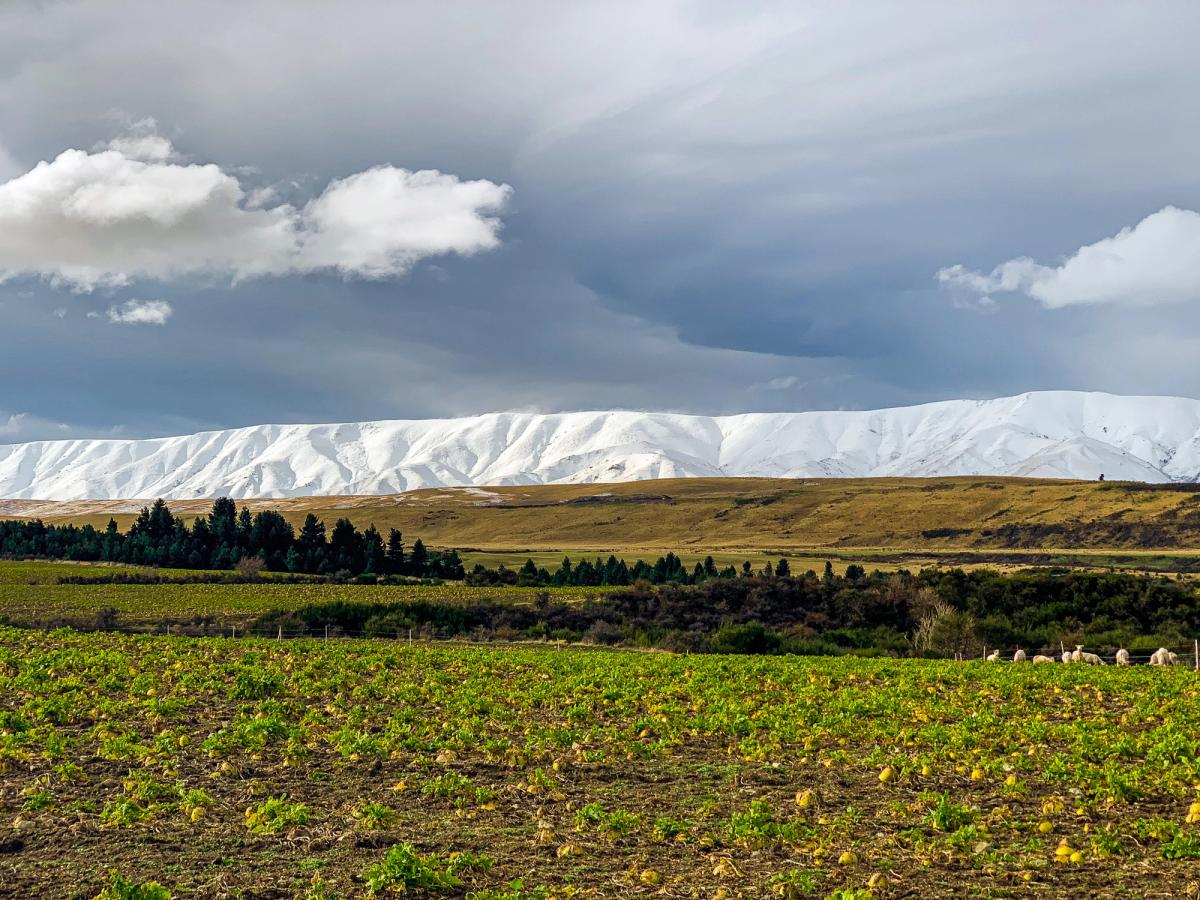 Ranges of Central Otago | Central Otago - New Zealand Trip Ideas