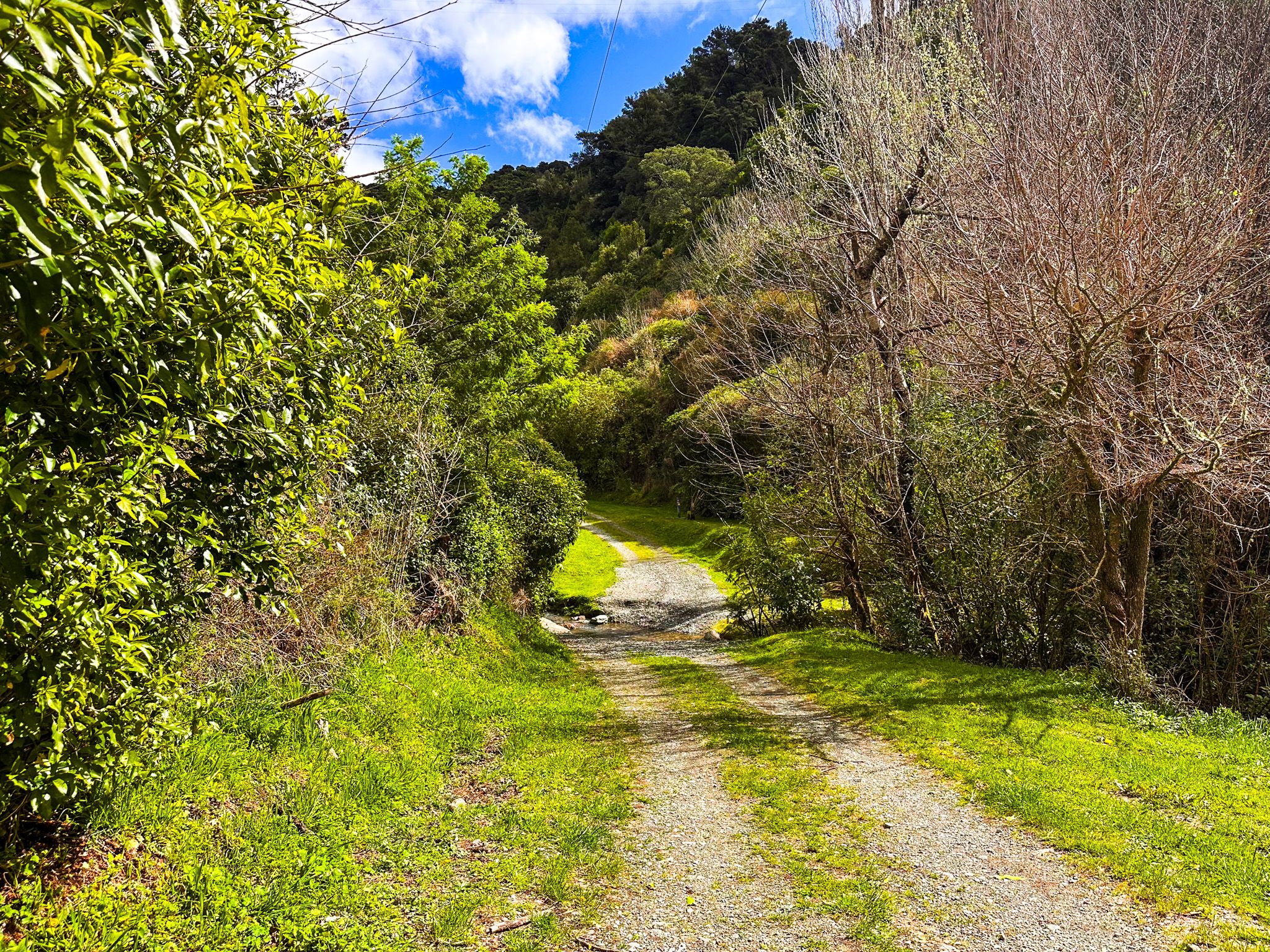 Mt Takorika Waterfall Track | Marlborough - New Zealand Trip Ideas