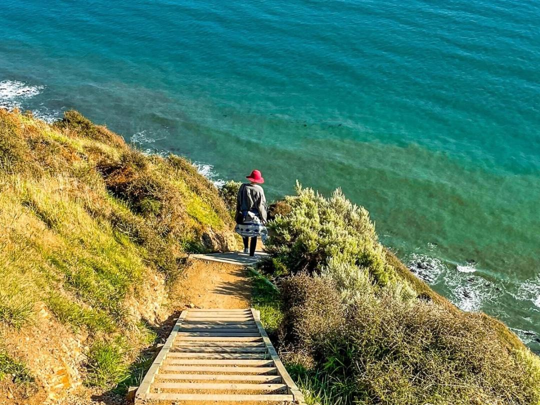 Paekākāriki Escarpment Track | Kāpiti Coast - New Zealand Trip Ideas