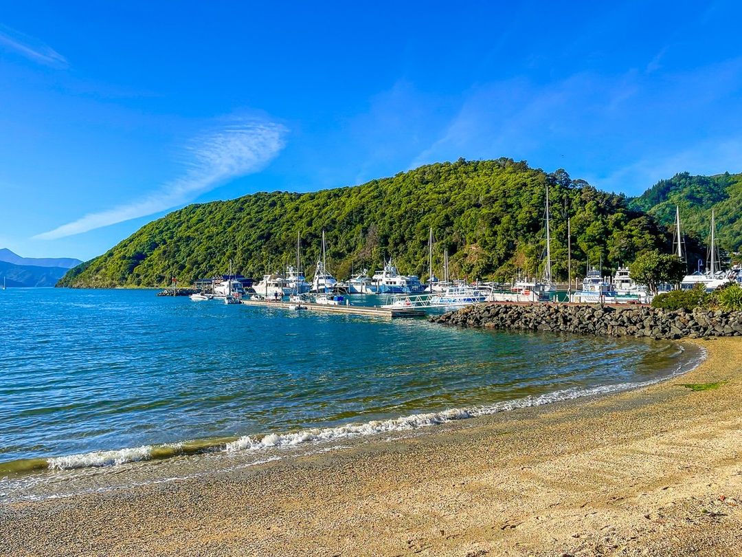 Picton to Nelson on Stunning Queen Charlotte Drive | Blog - New Zealand ...