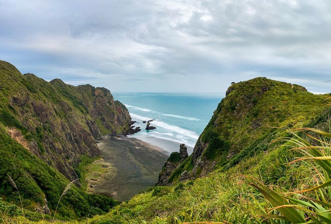 Mercer Bay Loop | West Auckland - New Zealand Trip Ideas