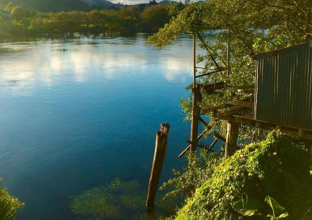 Taupiri | Hauraki - New Zealand Trip Ideas