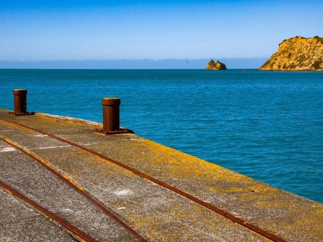 Tolaga Bay | East Cape - New Zealand Trip Ideas