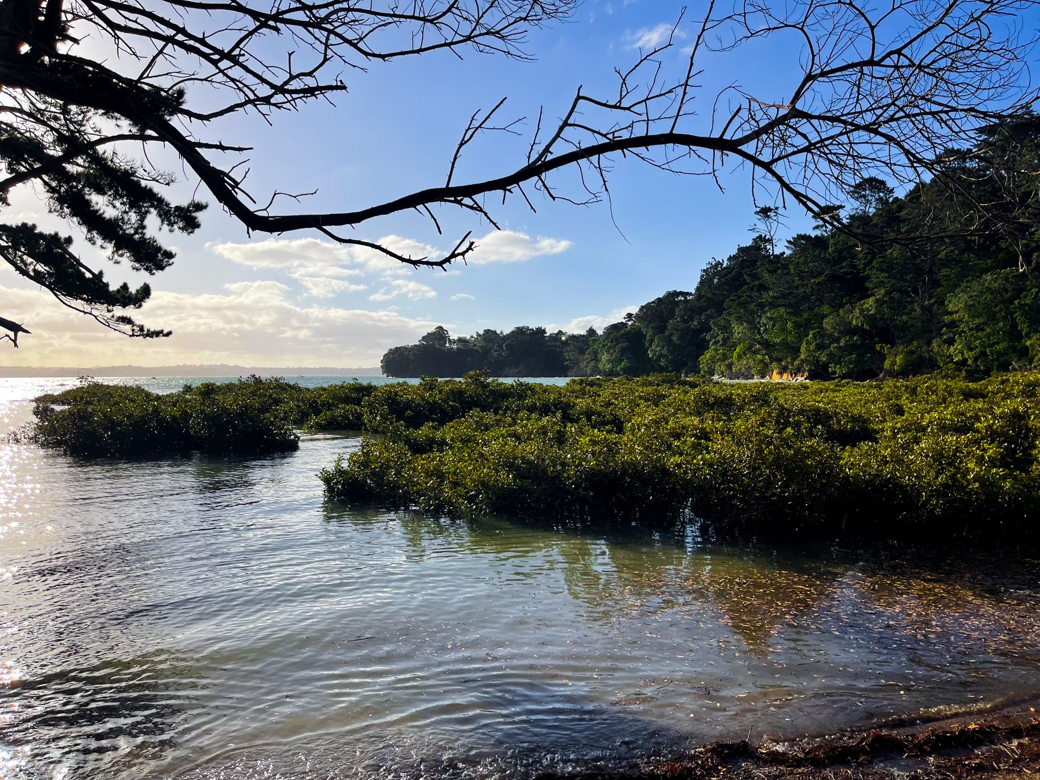 North Shore | North Auckland - New Zealand Trip Ideas