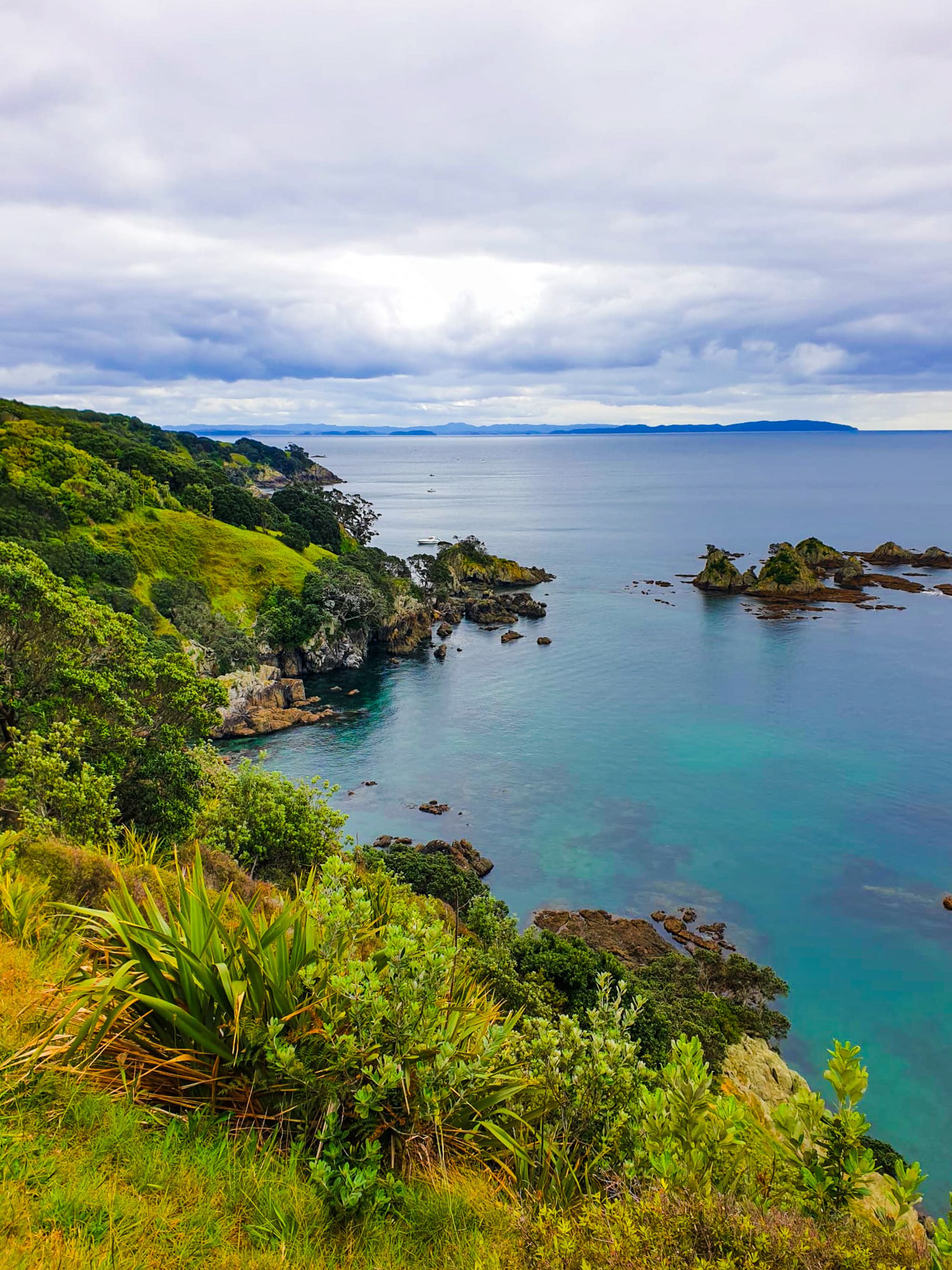 Tiritiri Matangi Island | Hauraki Gulf Islands - New Zealand Trip Ideas