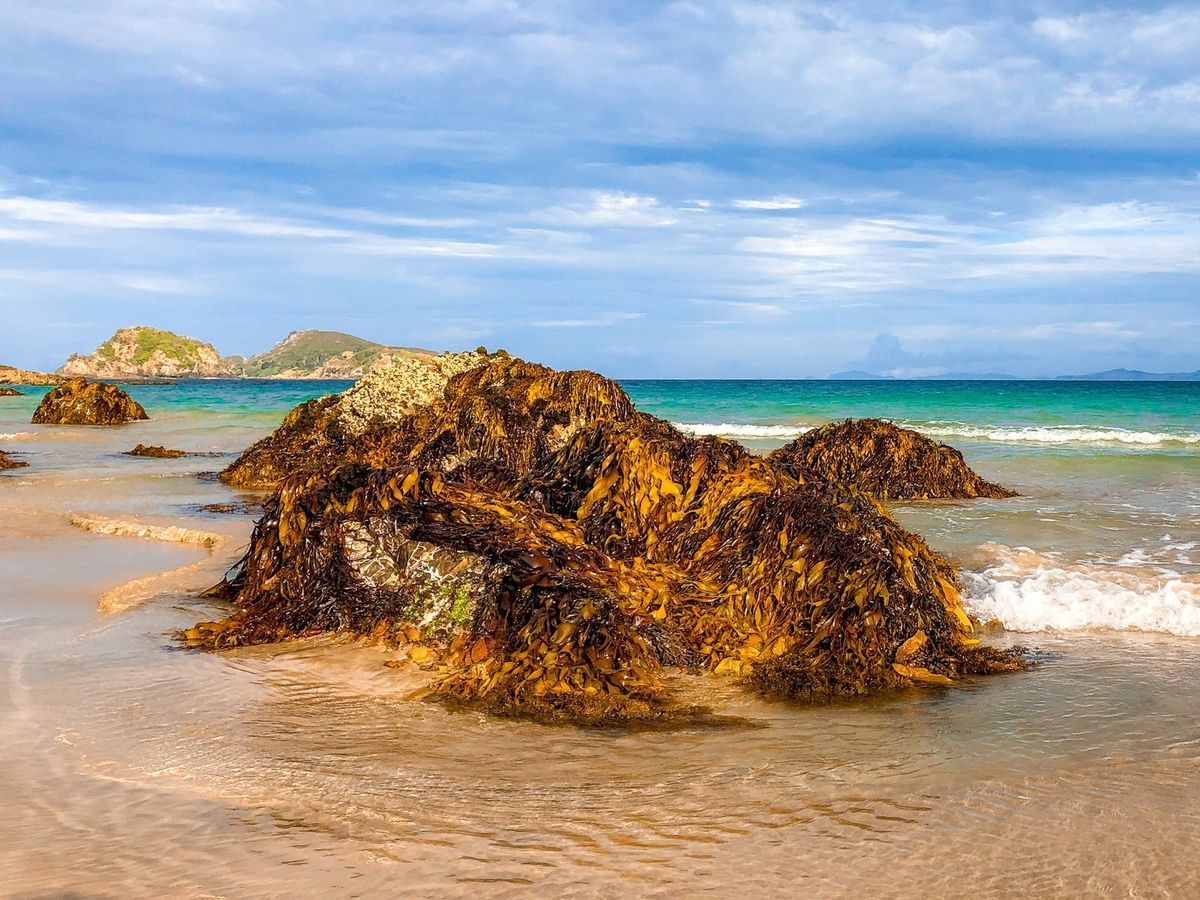 Matauri Bay | Far North - New Zealand Trip Ideas
