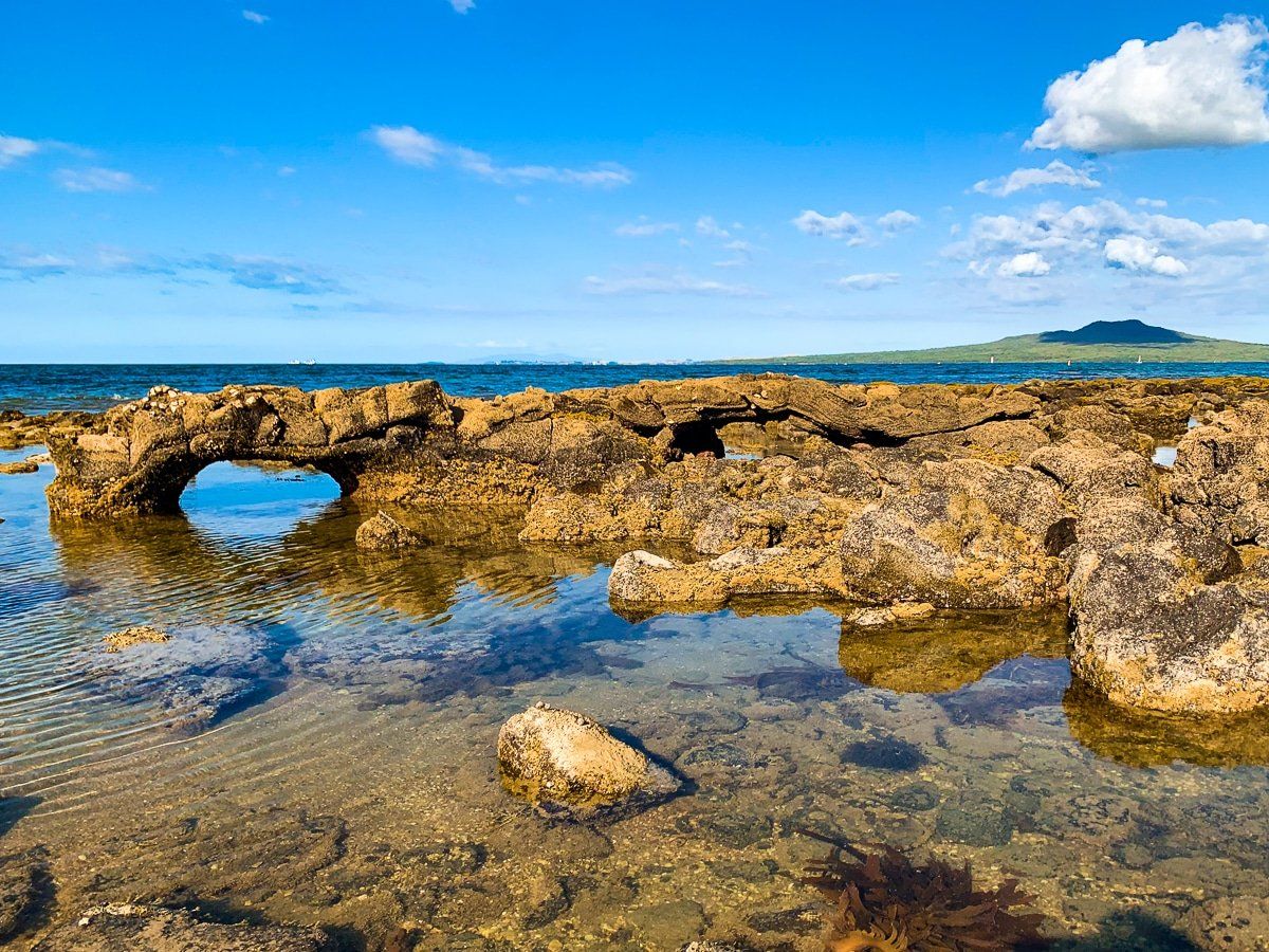 North Shore Coastal Walk, Takapuna to Milford | Blog - New Zealand Trip ...