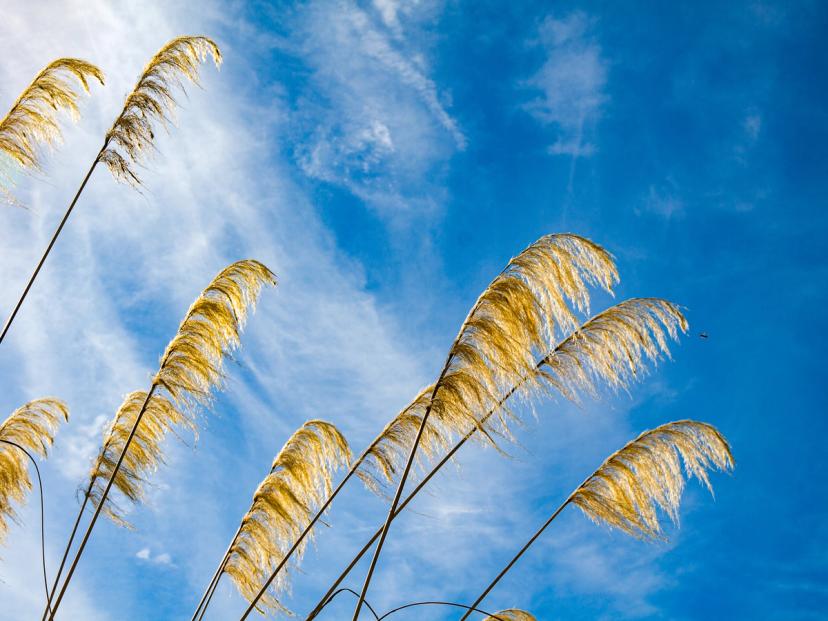 Te Urewera | Te Urawera - New Zealand Trip Ideas